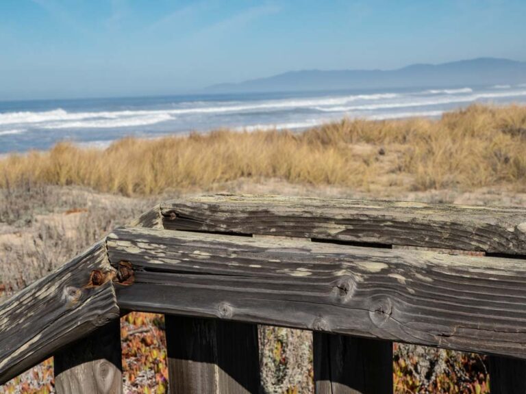 Pescadero State Beach: Everything You Need to Know
