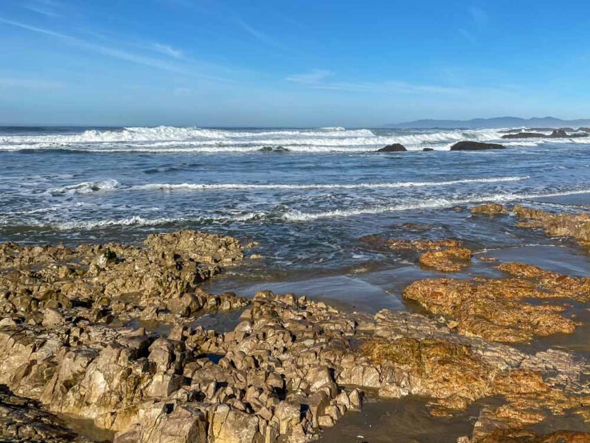 Pescadero State Beach: Everything You Need to Know
