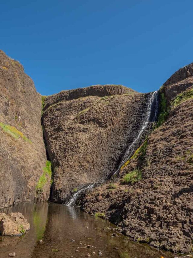 How to Take a Wildflower Hike on North Table Mountain in Oroville
