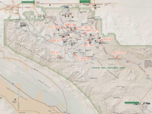 How to Maximize One Day in Joshua Tree National Park (Itinerary + Tips)