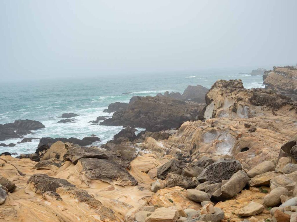 Salt Point State Park Hiking Camping Guide