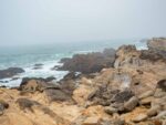 Salt Point State Park: Hiking & Camping Guide