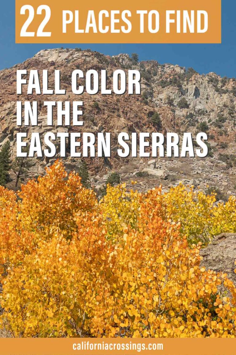 Where to Find Fall Color in the Eastern Sierras: 22 Leafy Locations