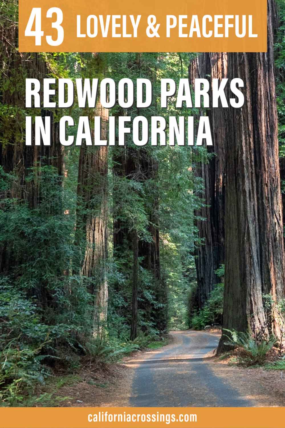 All 43 California Redwood Parks: Full Guide & Map