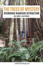 Why & How to Visit the Trees of Mystery (+ Get Yelled At By Paul Bunyon)