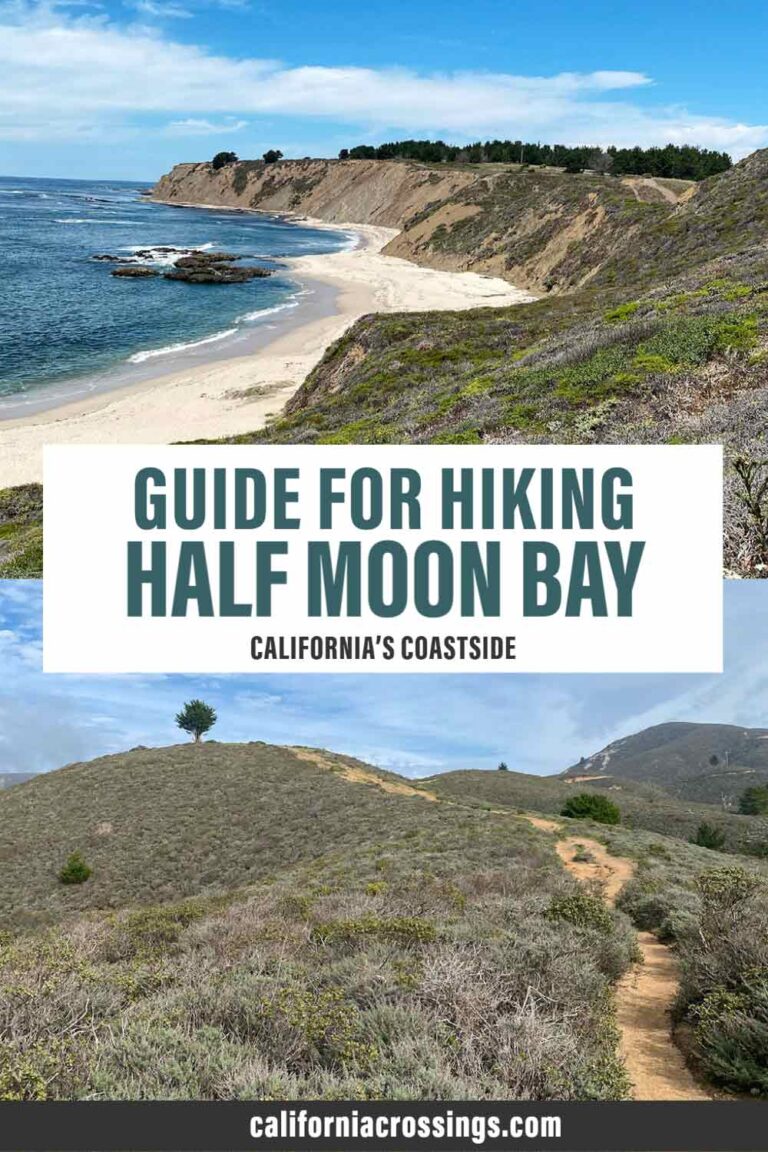 Find the Best Hiking in Half Moon Bay: 11 Trails for all Levels