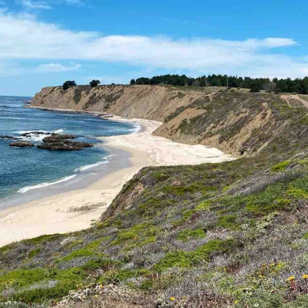 The 10 Best Half Moon Bay Beaches