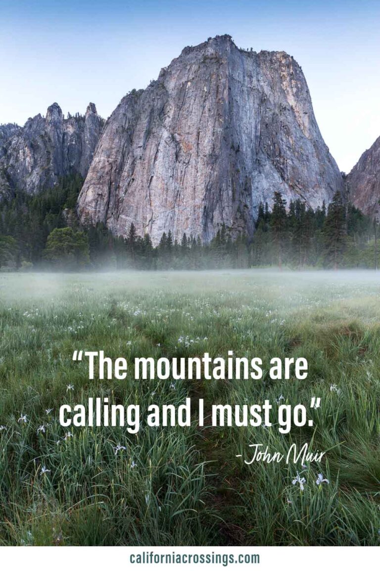 40 Inspiring John Muir Quotes: On Nature, Mountains, Hiking, Trees ...