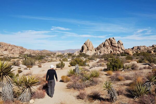 The 13 Best Hikes in Joshua Tree National Park