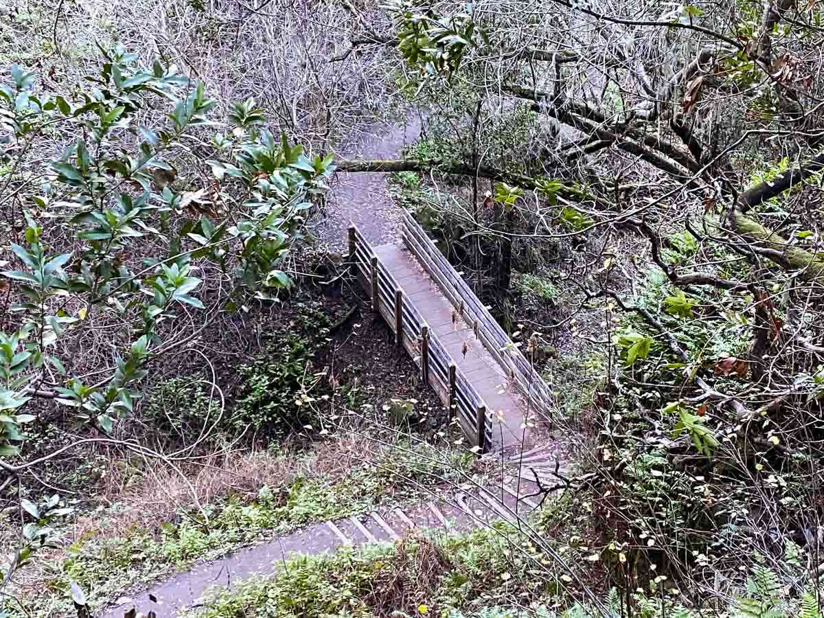 10 Chillax Things to Do in Carmel Valley