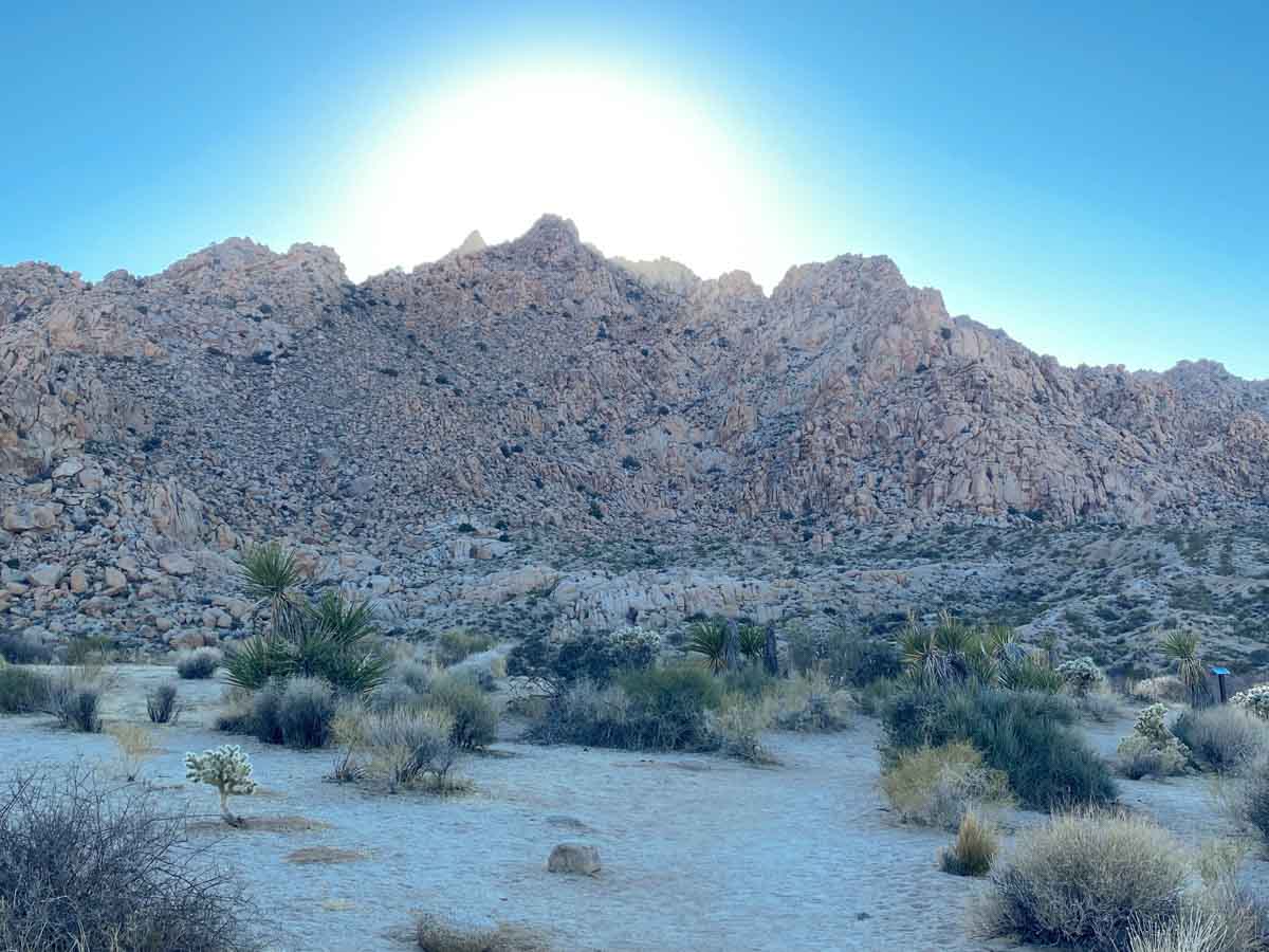 How To Rock Your Joshua Tree Visit: Everything You Need to Know