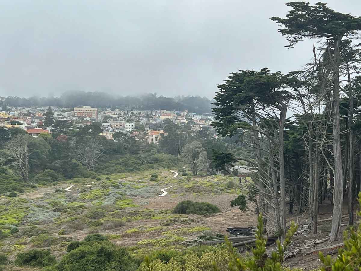 The San Francisco Crosstown Trail: 3 Ways to Explore It
