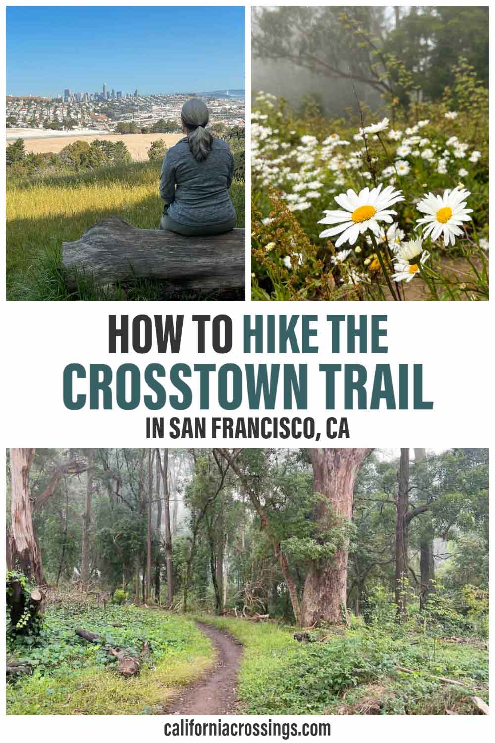 The San Francisco Crosstown Trail: 3 Ways to Explore It