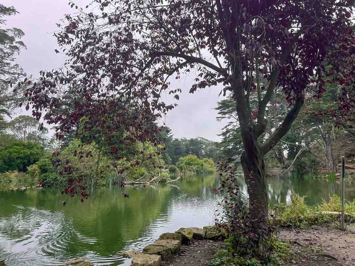 The 10 Best Walks in San Francisco